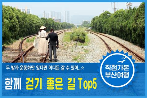 직접가본 부산여행 단 둘이 손 꼭~ 잡고 걷고 싶은 길 부산 걷기 좋은 길 Top5 실제 커플이 Facebook