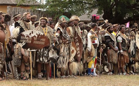 Zulu Warriors A Legacy Of Courage And Battle Prowess • Spotter Up
