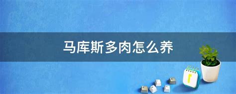 马库斯多肉怎么养 业百科