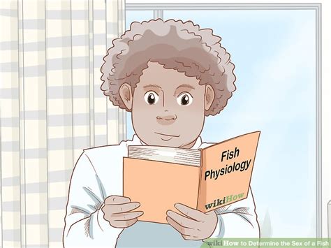 3 Ways To Determine The Sex Of A Fish Wikihow