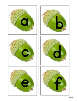 Acorn Letter Matching Uppercase And Lowercase Fall Alphabet Activity