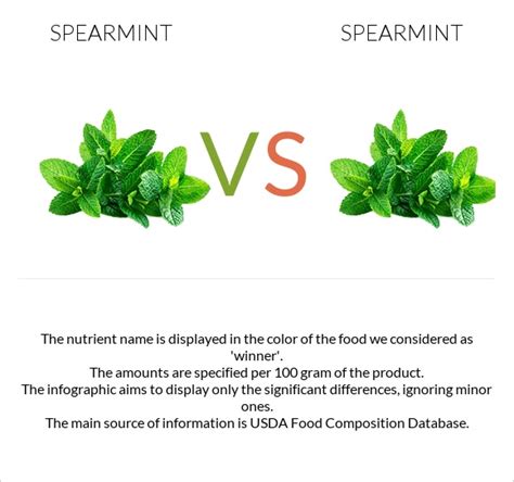 Spearmint Vs Spearmint — In Depth Nutrition Comparison