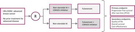 Schematic Overview Of Study Design Non Steroidal Ai Non Steroidal