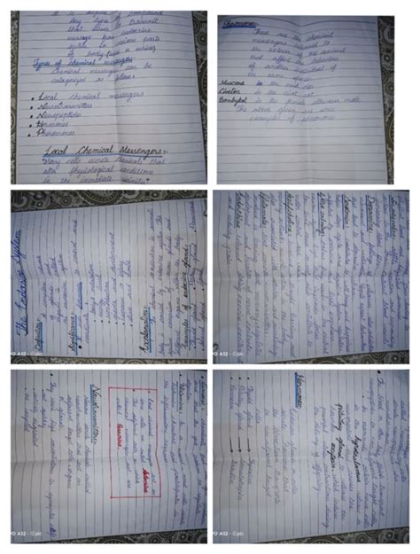 Do Handwritten Assignment Of Any Subject For You By Sanayasanaya525