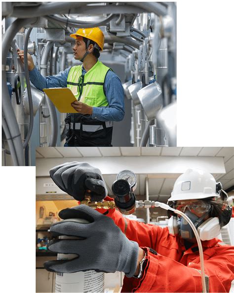 Fixed Gas Detection Paradigm Hse