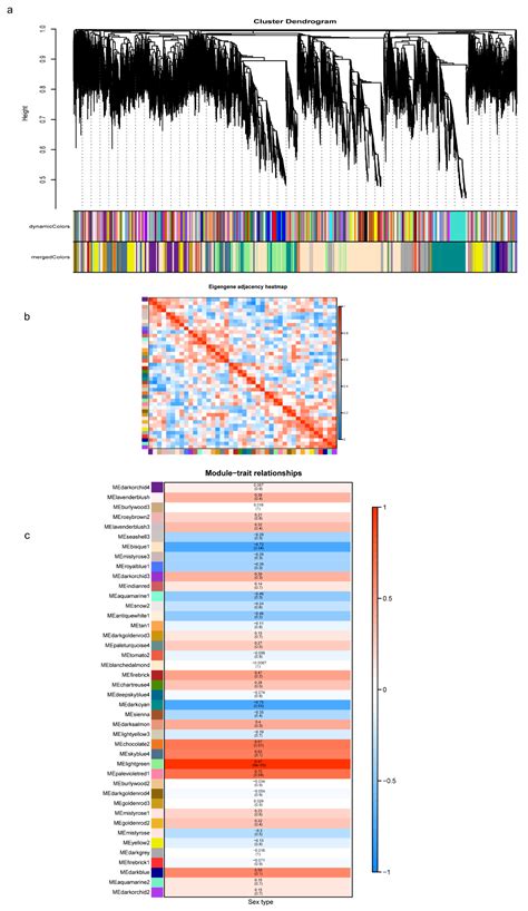 Comparative Transcriptome Analysis Reveals Sex Biased Expression Of
