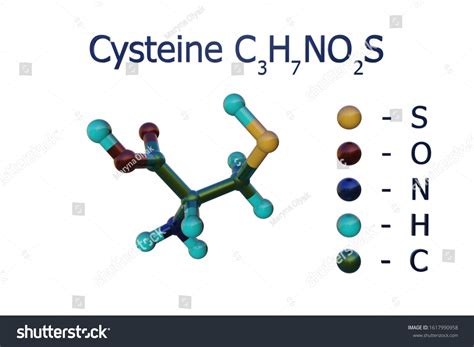 Structural Chemical Formula Molecular Model Cysteine Stock Illustration