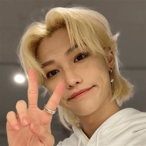 Felix Skz Doppleai