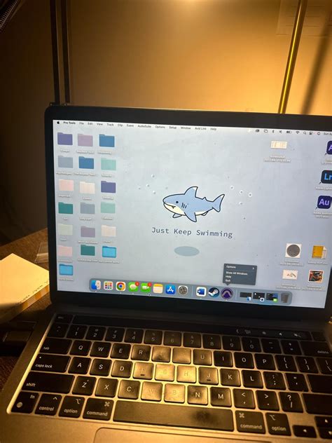 Window Not Showing Rprotools