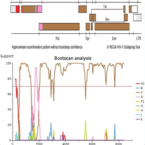 Bootscanning Analysis And Representation Of Recombination Breakpoints
