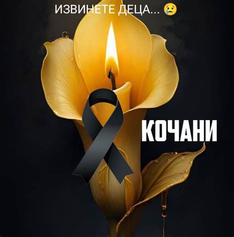 Славица Митровска Цаци Added A Славица Митровска Цаци