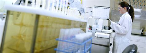 Services Labs | The GEL Group