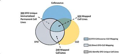 Mapping Results Of The Three Intermediate Processes I Iii In Step 2