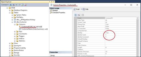 Data Annotations Key Attribute In EF Core Tektutorialshub