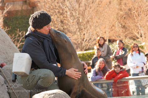Kiss From A Sea Lion