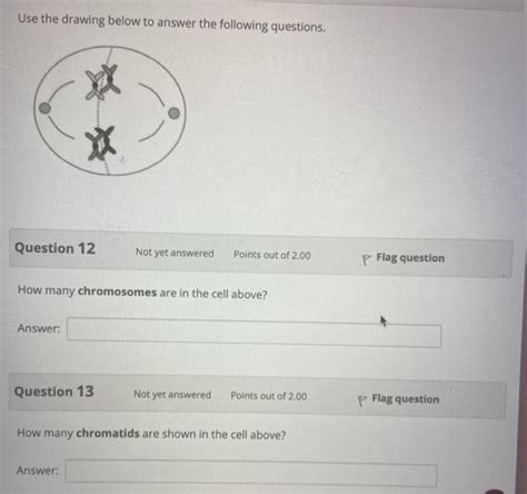 Solved Use The Drawing Below To Answer The Following Chegg