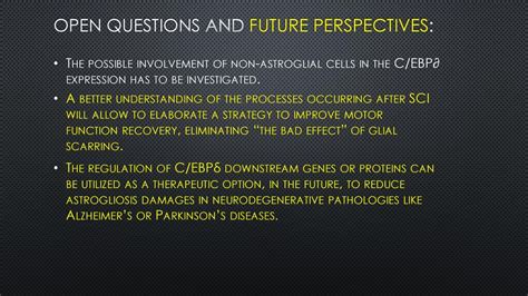 Ilaria Ghia And Fabio Grieco Ppt Download