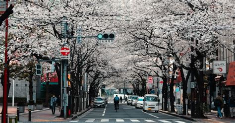 【日檢n2高分】日文檢定準備最前線，工作旅遊沒煩惱！