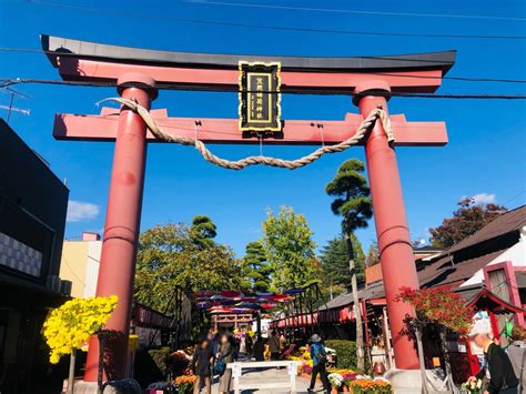 笠間市第117回笠間の菊まつり11月24日日まで開催中 号外NET ピックアップ茨城