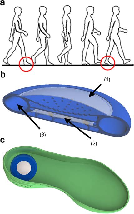 Energy Harvesting From Human Locomotion A The Schematic Of Human Download Scientific