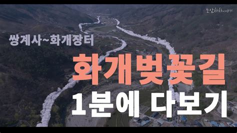 하동 가볼만한곳 십리벚꽃길 1분에 다 보여줄께요 쌍계사~화개장터 Youtube