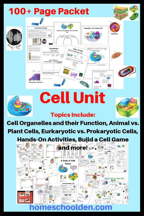 Cell Unit Organelles Plants Vs Animal Cells Eurkaryotic Vs Prokaryotic