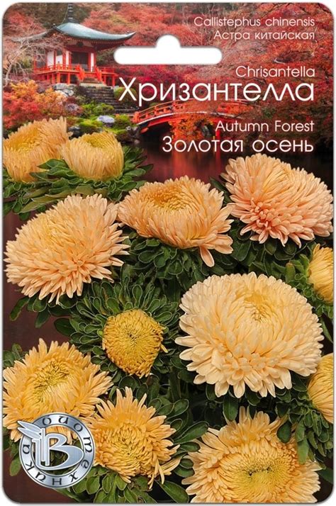 Купить Астра "Биотехника" Хризантелла Золотая осень 30 сем в Онсад.ру с ...