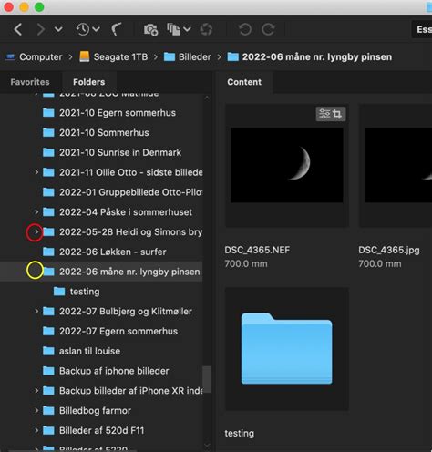 solved problem using bridge small arrow for subfolders adobe