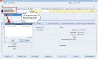 Oracle ERP World Oracle R12 Multi Org Access Control MOAC