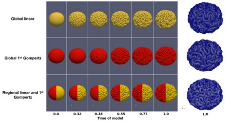 13 Comparison Of Folding Processes Of The Reference Ellipsoid Based On