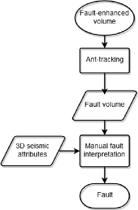 Flowchart Showing The Steps Involved In Ant Tracking Workflow