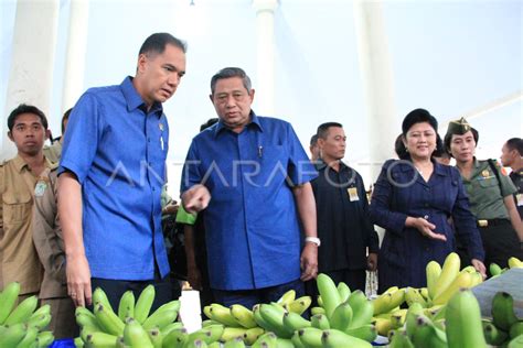 Produk Buah Ekspor Antara Foto