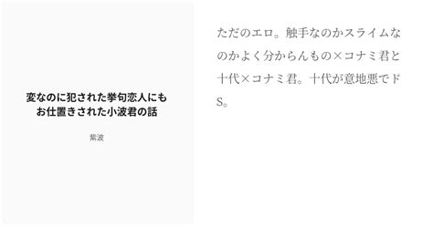 R 18 じゅこな 変なのに犯された挙句恋人にもお仕置きされた小波君の話 紫波の小説 Pixiv