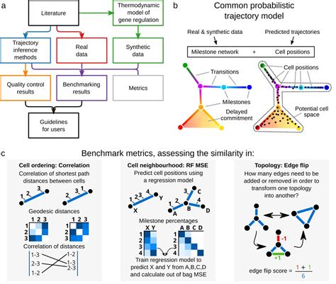 A Comparison Of Single Cell Trajectory Inference Methods Towards More
