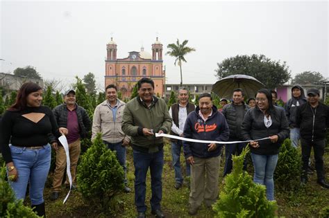 Inicia En Atzacan La Venta De Pinos De Navidad NBC Diario