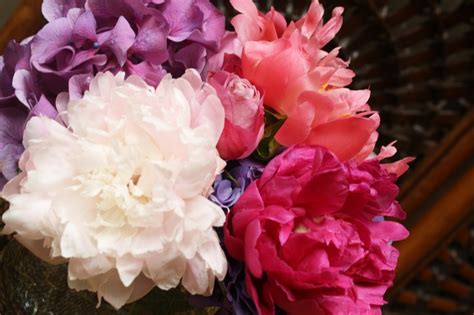 Perfect time of year for a bridal shower. Peonies are in bloom ...