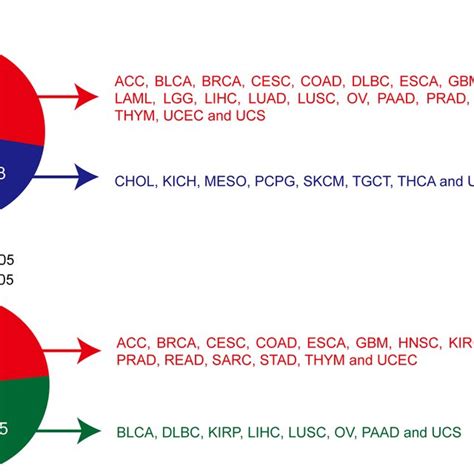 The Association Between Mutation Status In Ddr Gene Panel And
