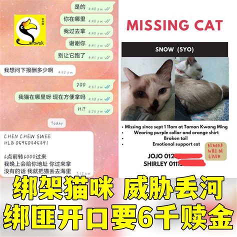 砂州眼 Sarawak Eye 这是全马第一起绑架猫咪，“绑匪”还开口要上千赎金的案例，就发生在古晋。