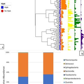 Comparison Of Bacterial Species On Scalp Microbiome Of Healthy Woman Download Scientific