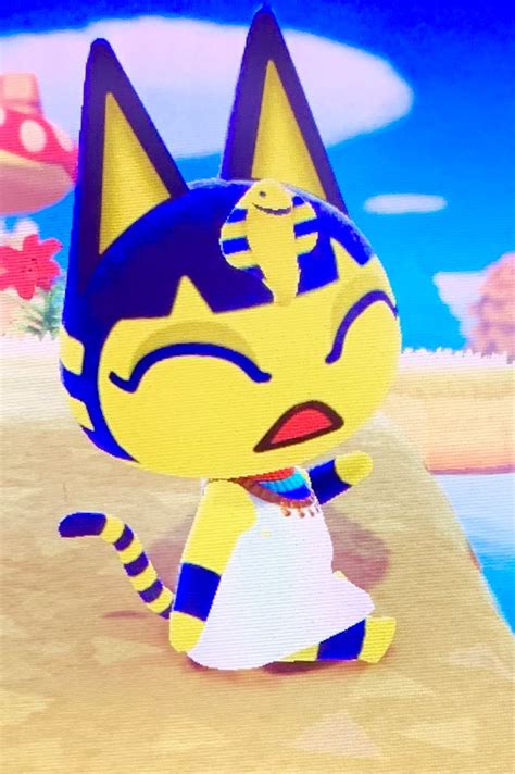 Animal Crossing Cats Animal Crossing Characters Animal Crossing