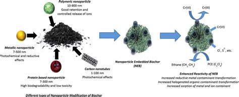 Schematic Representation Of Biochar Modifications By Different Types Of