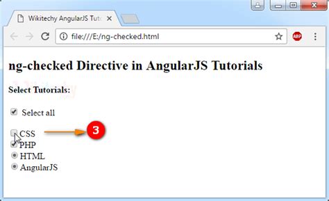 Angularjs Ngchecked Wikitechy