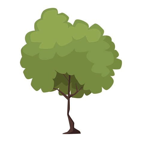Tree Plant Forest 14176542 Vector Art At Vecteezy