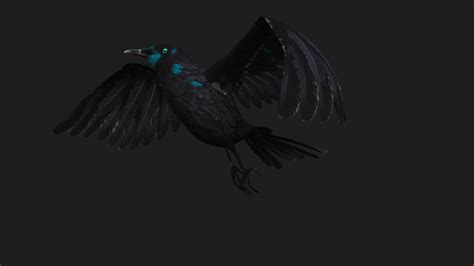 Raven A2 Animated 3d Model By Animated3d