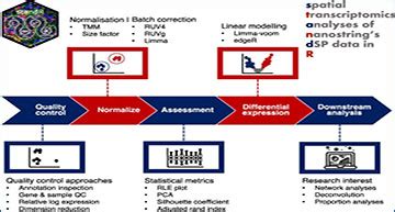 StandR Spatial Transcriptomic Analysis For GeoMx DSP Data RNA Seq Blog