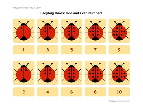Ladybug Number Cards Learning Numbers Counting And Oddeven Concepts