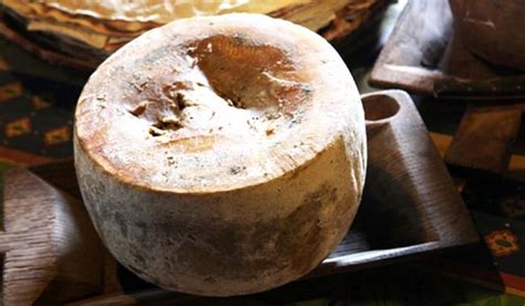 Casu Marzu 유제품 카수 마르주 Vs 치즈 파리 세상에서 가장 위험한 치즈 네이버 블로그