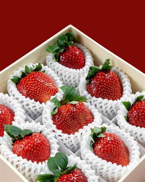 Stroberi Hasil Budidaya Petani Lembang Ini Berhasil Dilelang Hingga Rp