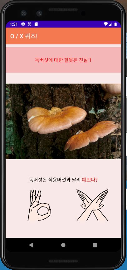 GitHub BuglossJisoo AI Mushroom App AI Mushroom App Final Code JAVA