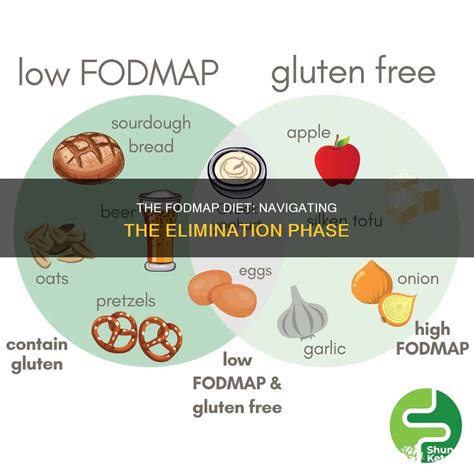 The Fodmap Diet Navigating The Elimination Phase Shunketo